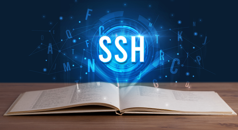 From Basics to Mastery: Implementing SSH VPN Tunneling on Windows with ...